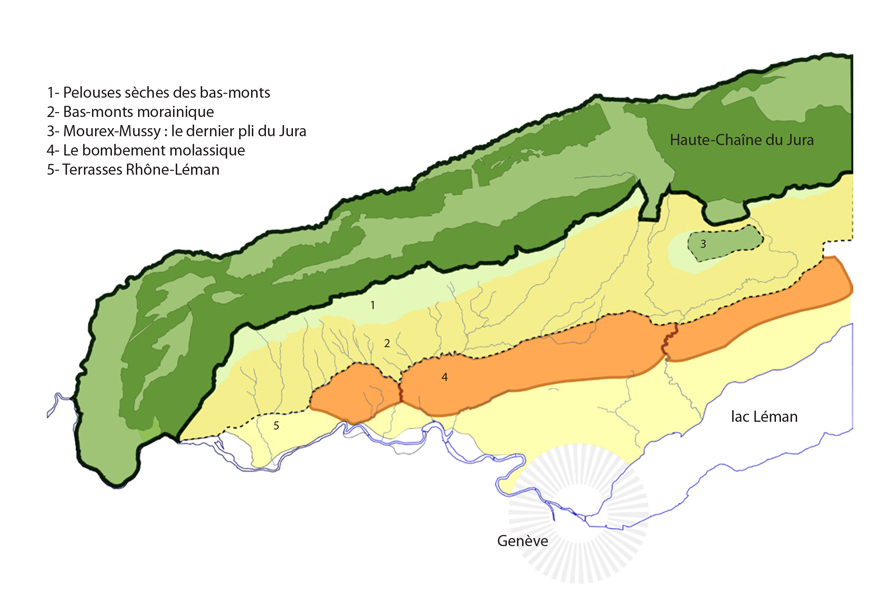 Charte paysagère – Plaine de Gex | FAR paysagistes